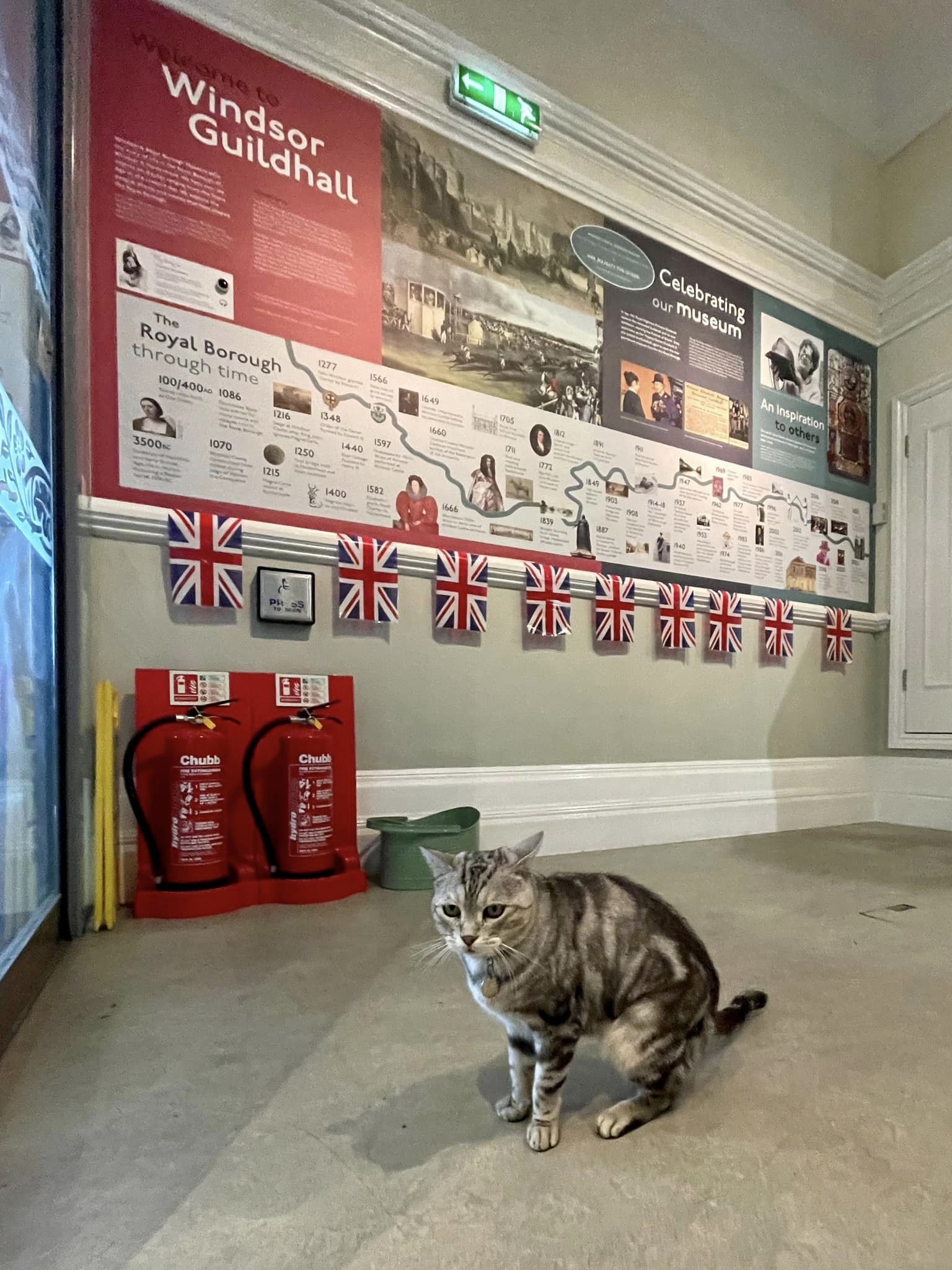 Volunteering – Friends of Windsor Museum